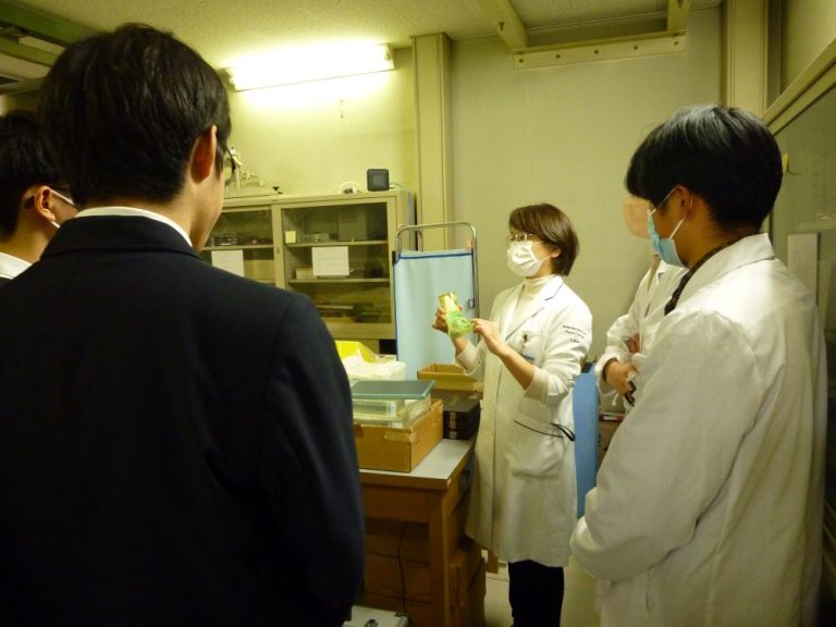 岡山大学教育学部附属中学校の生徒が医学部保健学科を訪問 岡山大学医学部